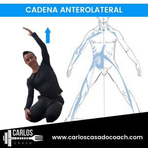 Cómo estirar cadenas musculares - Carlos Casado Coach