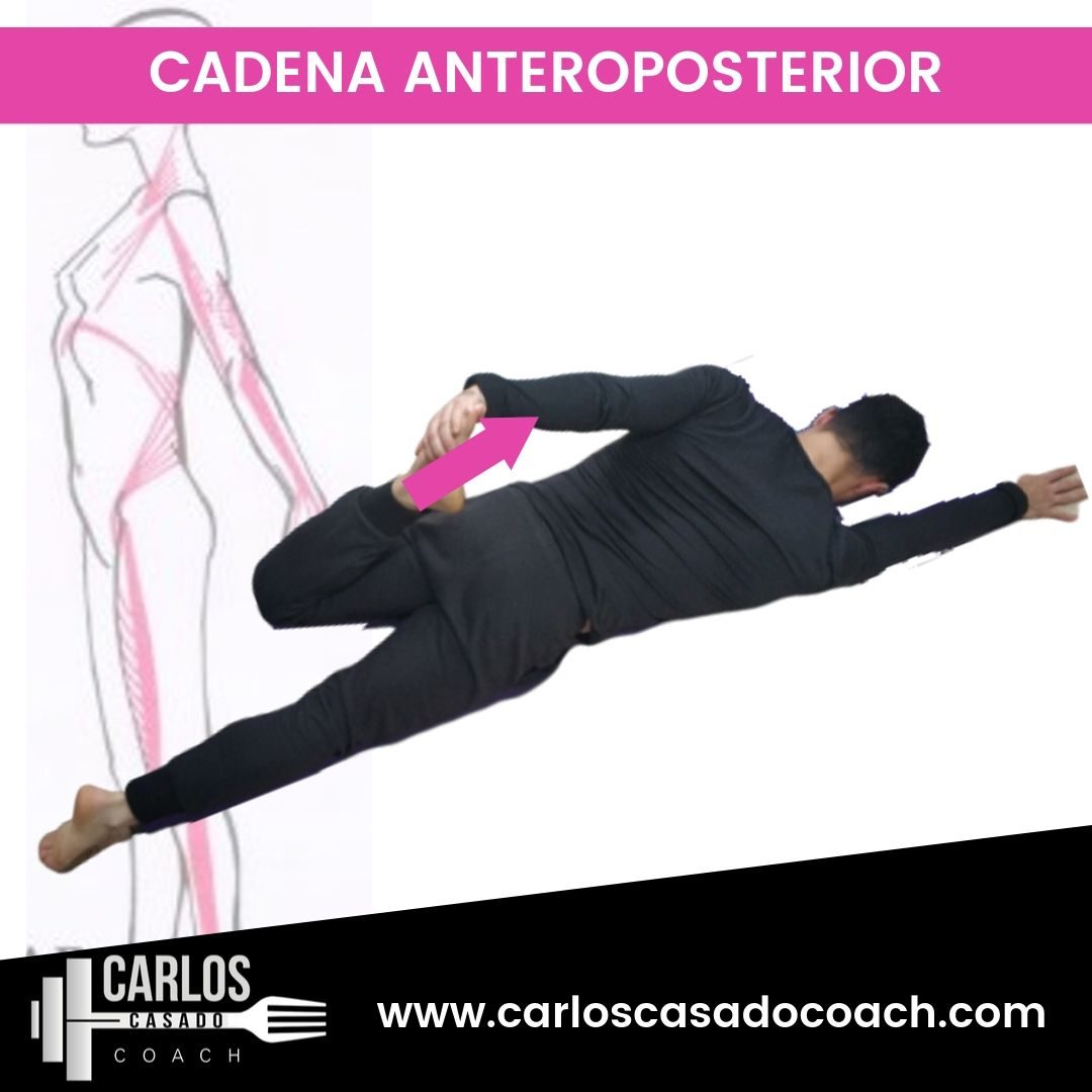 Cómo estirar cadenas musculares - Carlos Casado Coach